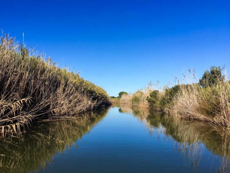 Lago di Lesina e dintorni: cosa fare e cosa vedere - In viaggio con Monica